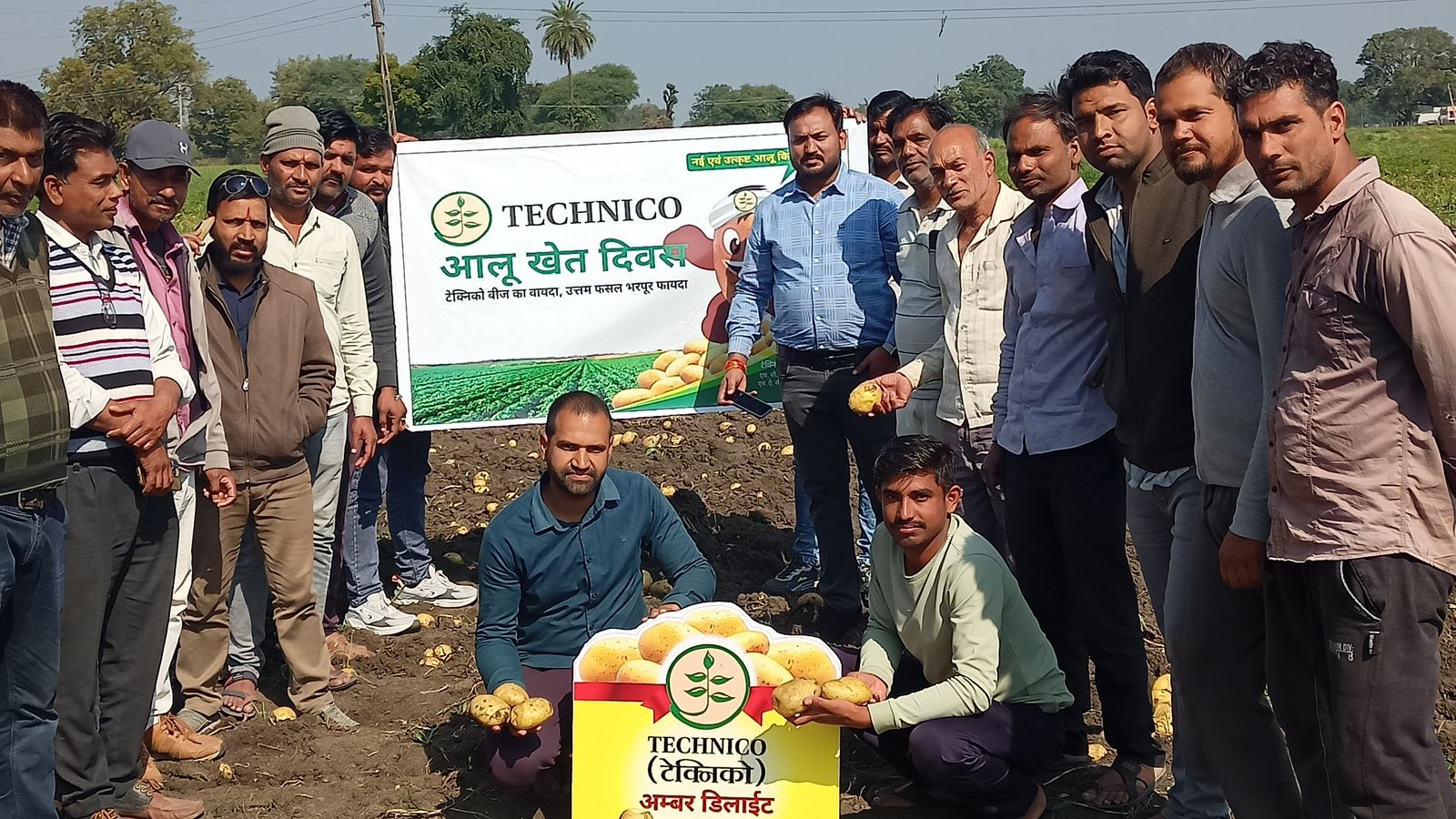 Technico's Amber Delight: Potato Field… | IndianPotato.com