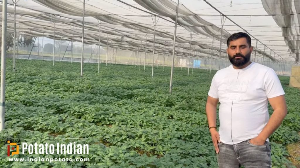 The Story of Kufri Tejas & Rahul… | IndianPotato.com
