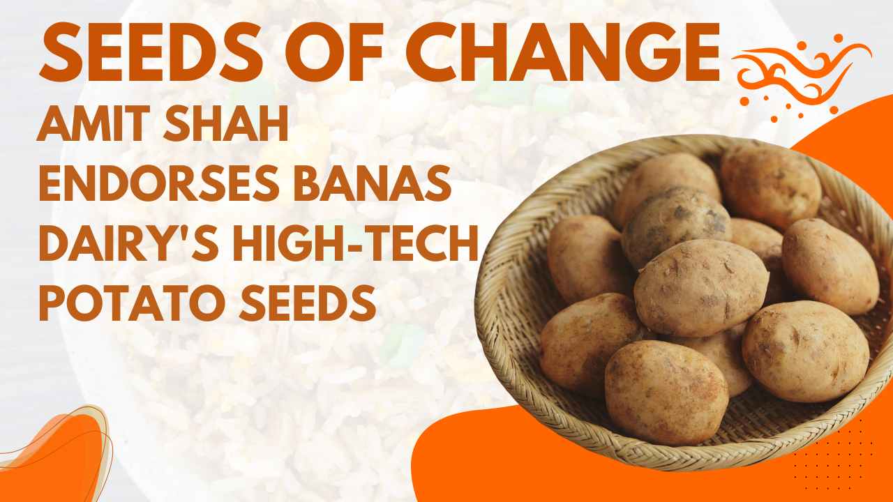 Seeds of Change — Banas Dairy's Mission | IndianPotato.com